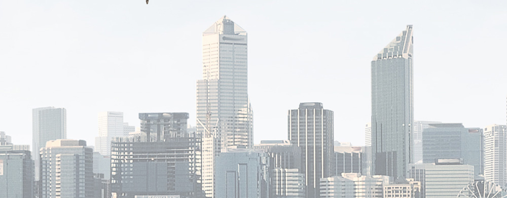 PERI Institute of Technology